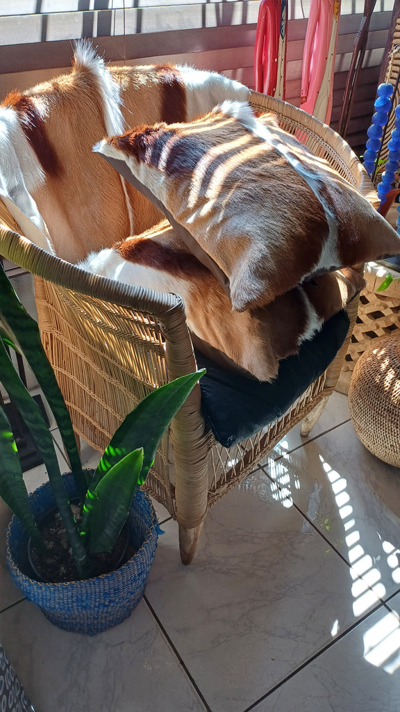 Springbok Cushion | Soweto Game Skin