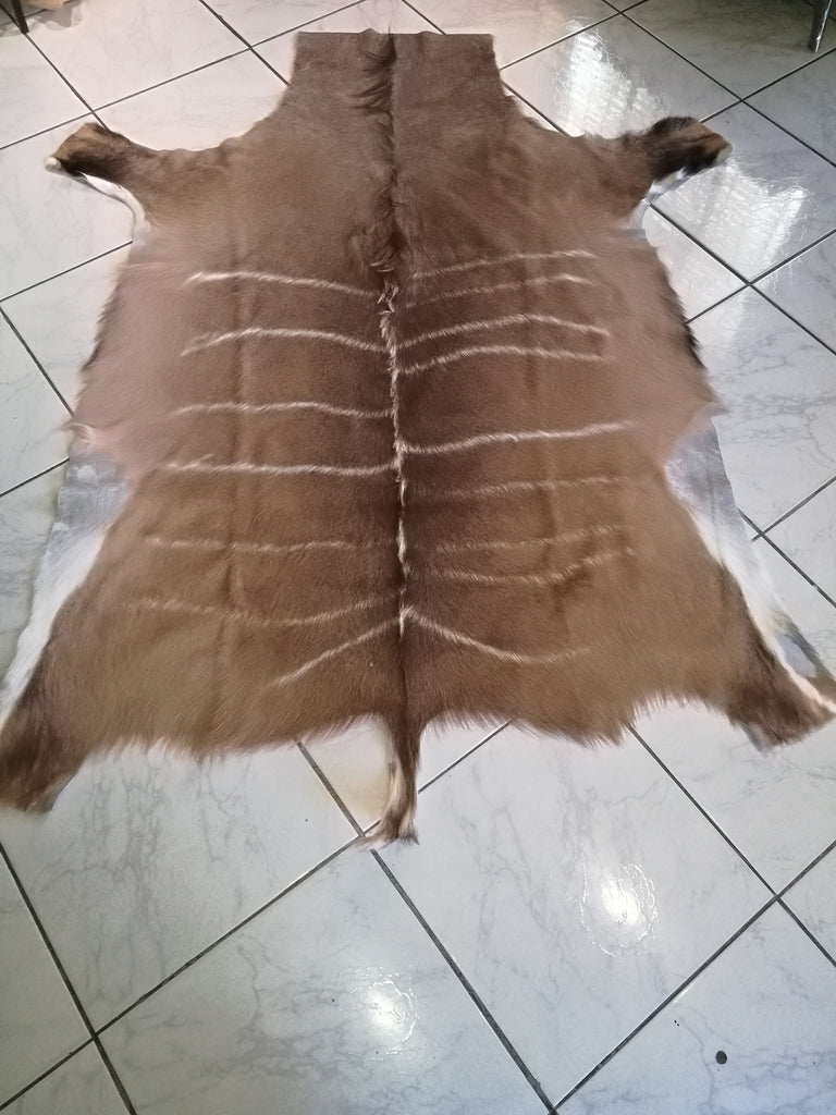 Kudu Hides | Soweto Game Skin